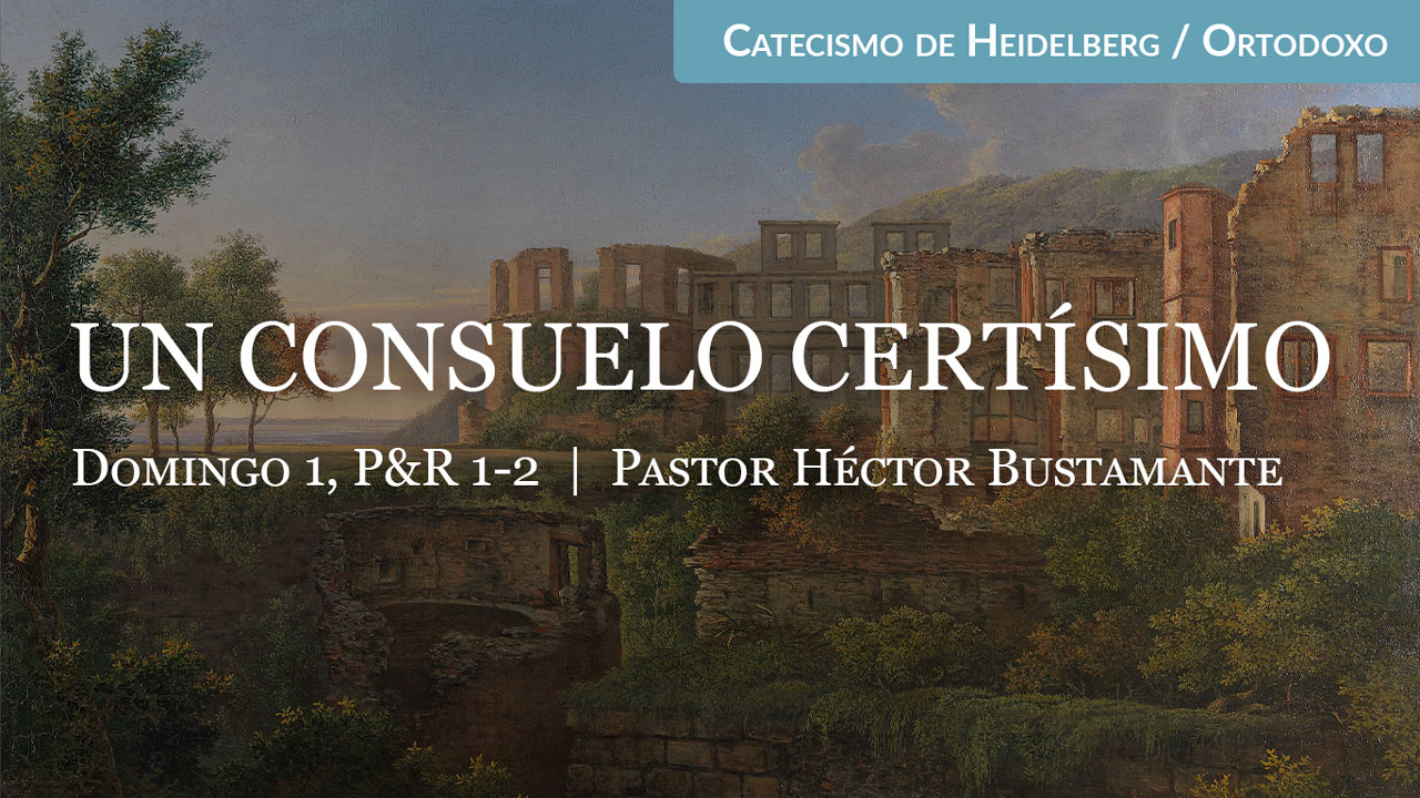 Un consuelo certísimo | Business