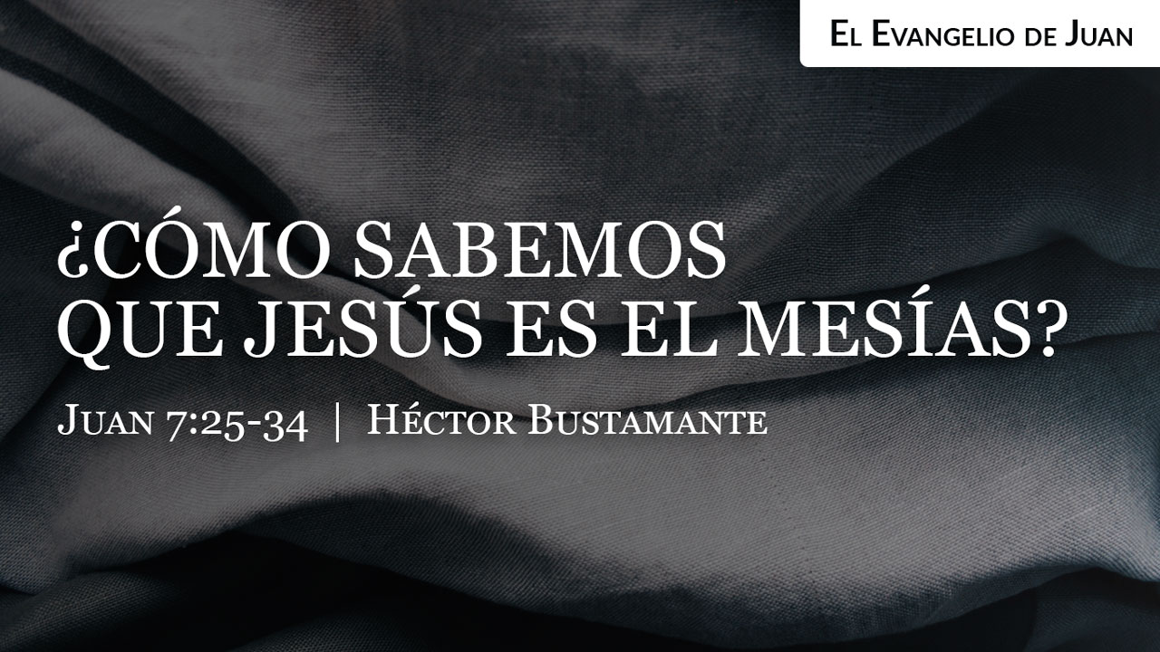 ¿Cómo sabemos que Jesús es el Mesías? (Juan 7:25-34) | Business