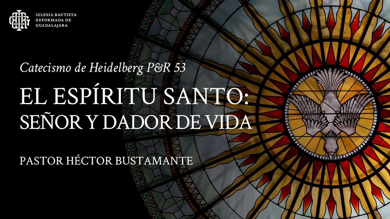 El Espíritu Santo: Señor y dador de vida | Business