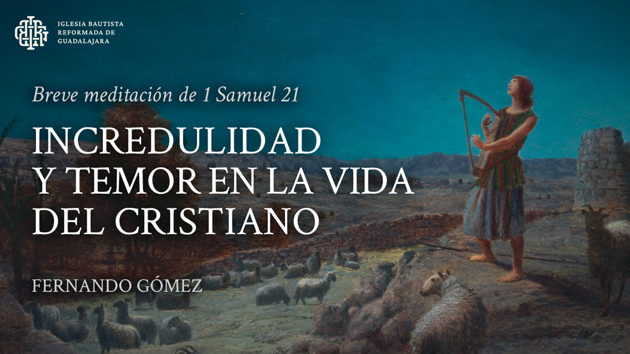 Incredulidad y temor en la vida del cristiano (1 Samuel 21) | Business