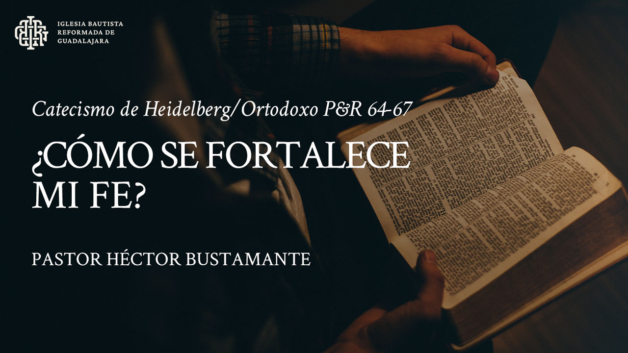 ¿Cómo se fortalece mi fe? | Business