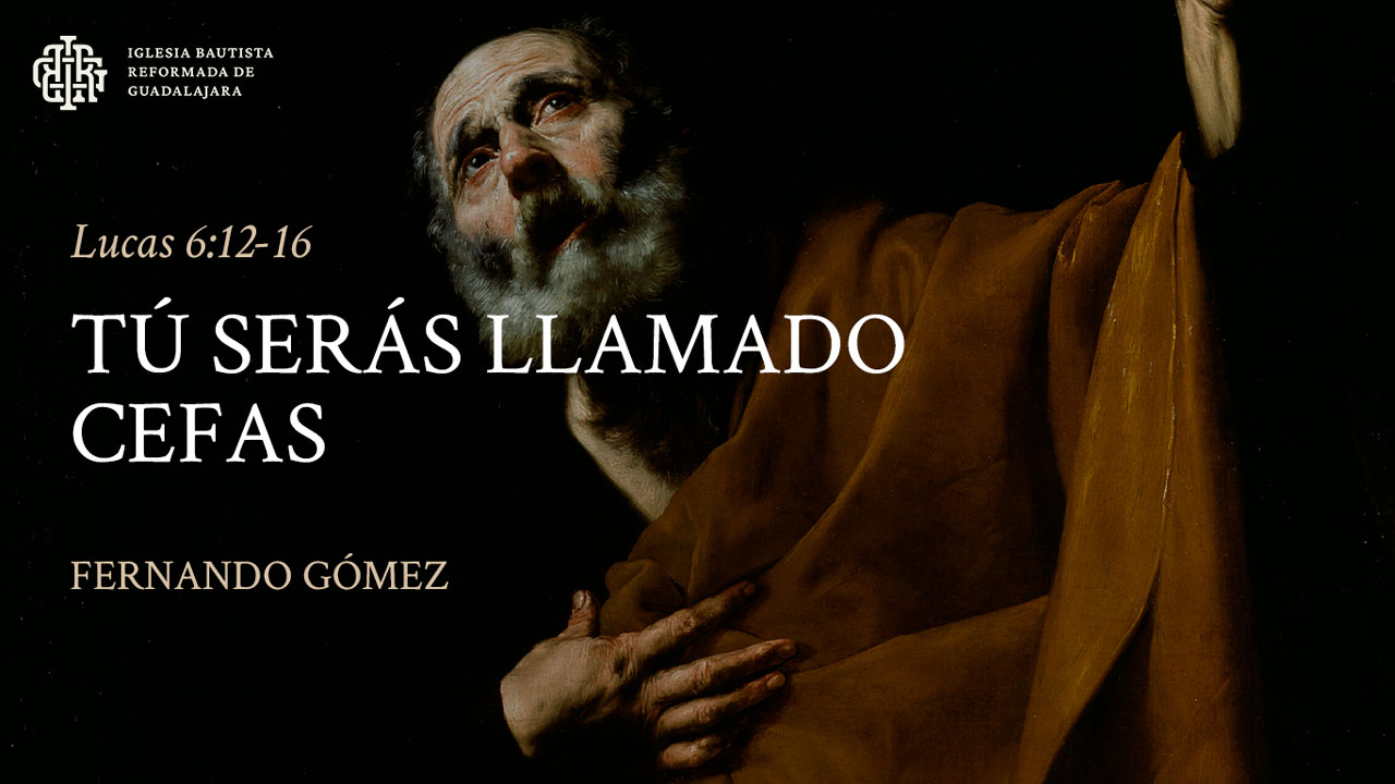 El llamado de los 12 | Business